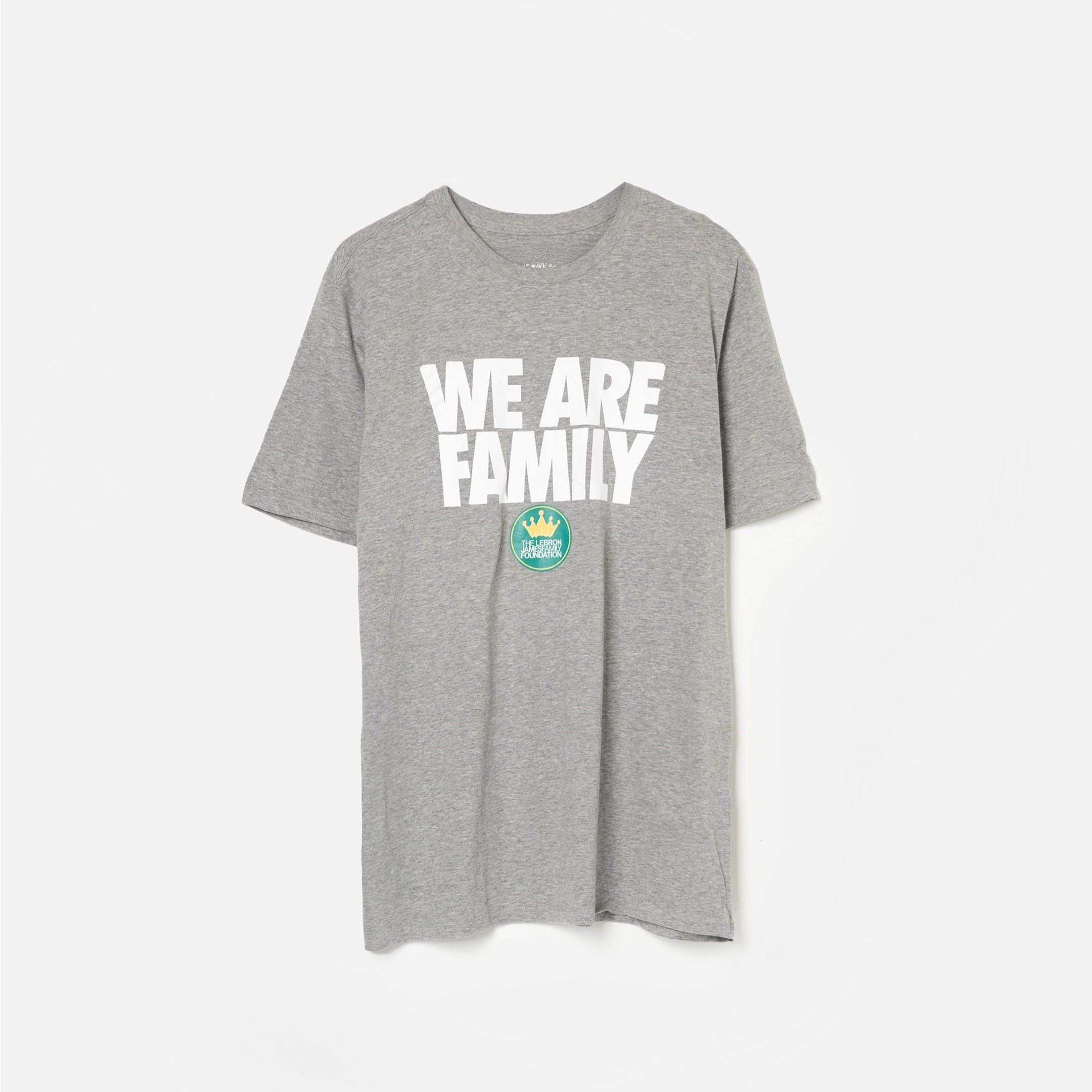 Nike WE ARE FAMILY Shirt (Grey) – LeBron James Family Foundation